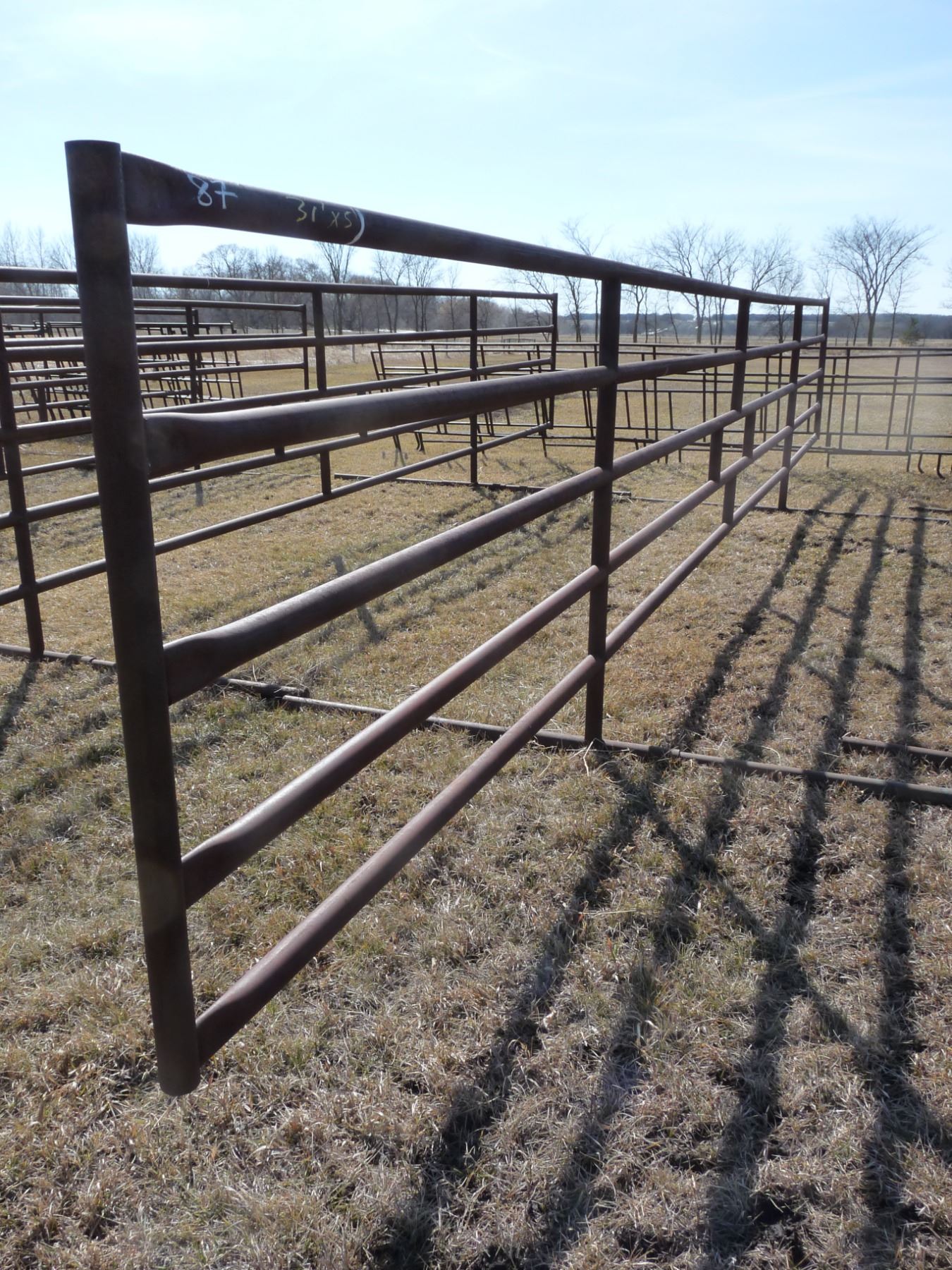 Free standing 5 bar corral panel 31 feet long x 5 foot tall approximately