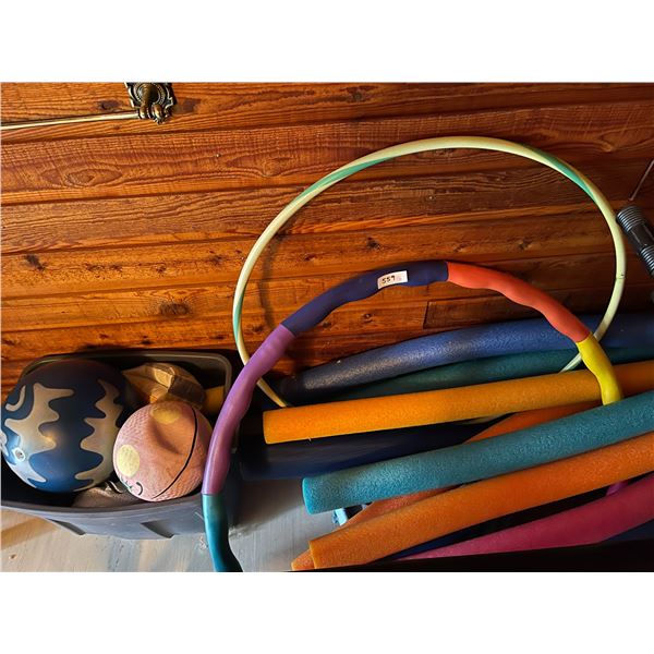 Pool Floats And Balls Beck Auctions Inc