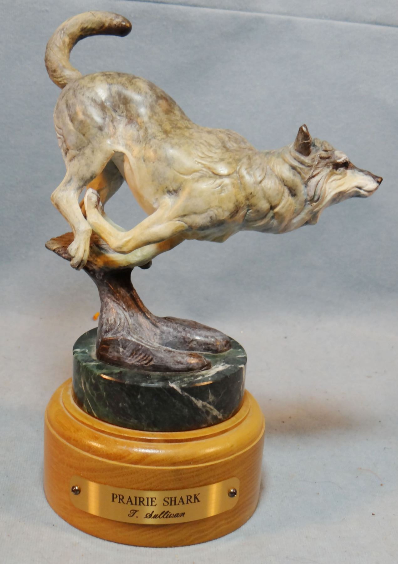 Sullivan, Tim bronze, The Prairie Shark, #7/15, 8" h x 8" w