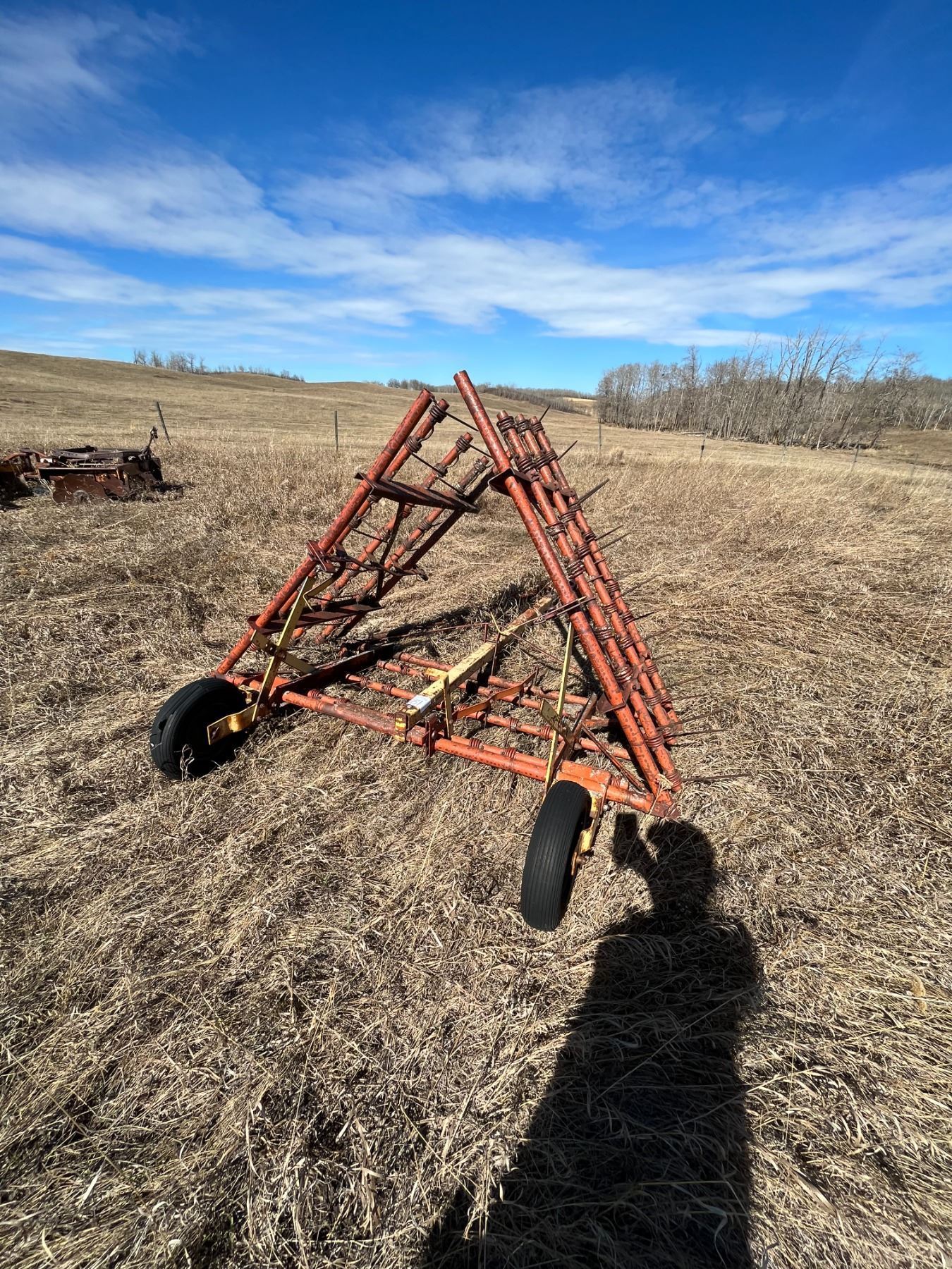 3 sec. of tine harrows & carrier