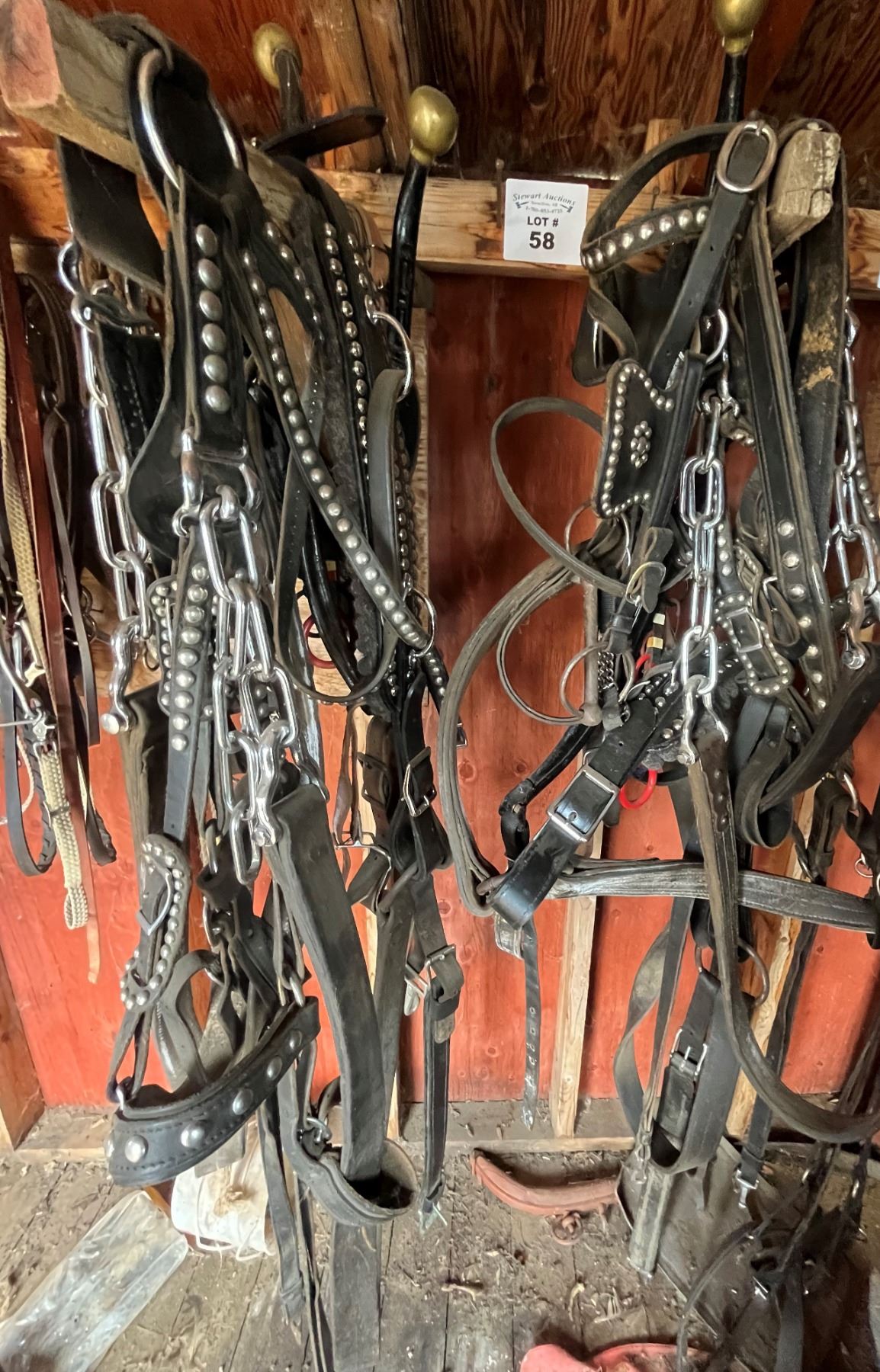 Set of Show harnesses