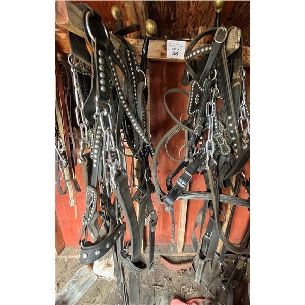 Set of Show harnesses