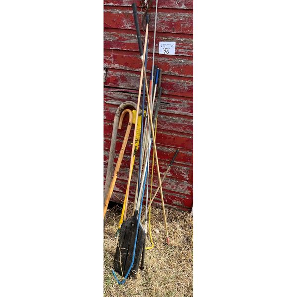 Cattle sticks, canes & prod