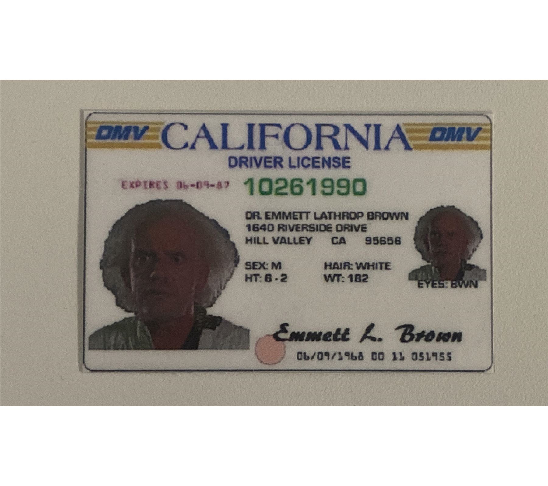 Back to the Future prop license- Dr. Emmett Brown