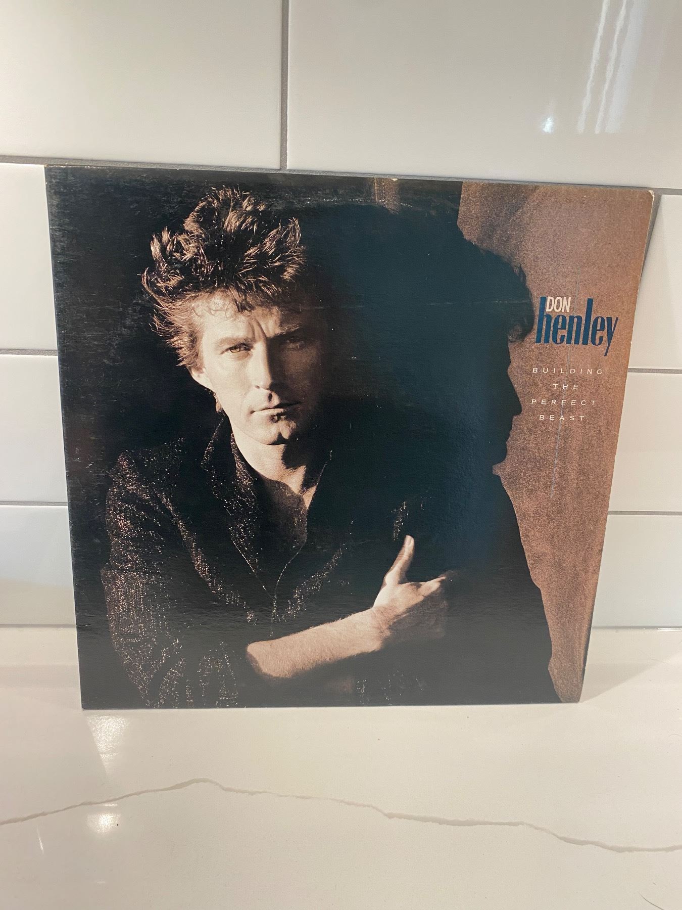 Don Henley Building The Perfect Beast 1984
