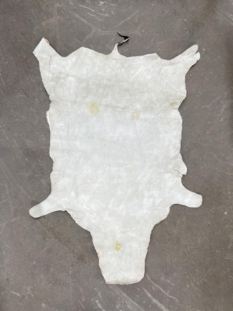 African Impala Leather Rug Pelt