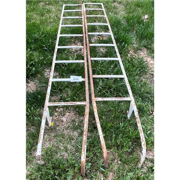 Grain bin ladders