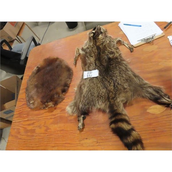 Tan Hide Raccoon Tan Hide Beaver Mcsherry Auction Service Ltd