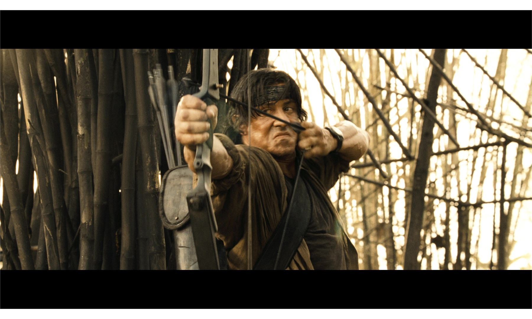 Lot #327: RAMBO (2008) - John Rambo's (Sylvester Stallone) Fishing Bow ...