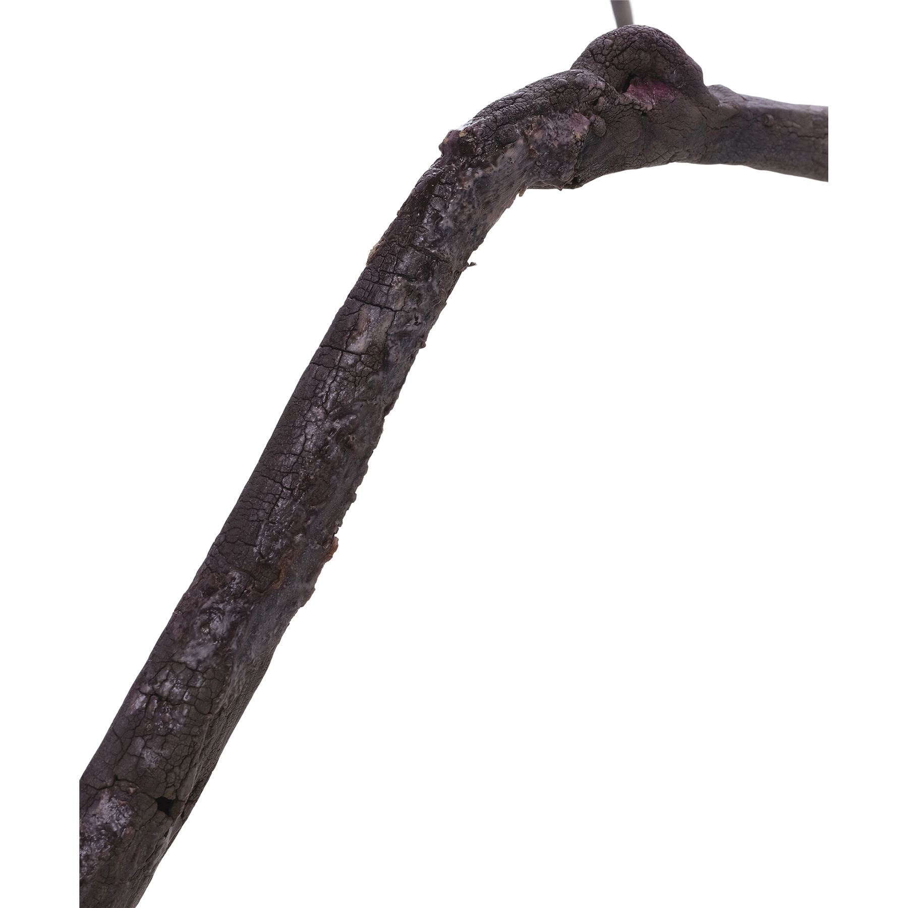 Lot #481: THE THING (1982) - Norris (Charles Hallahan) Spider Head-Thing