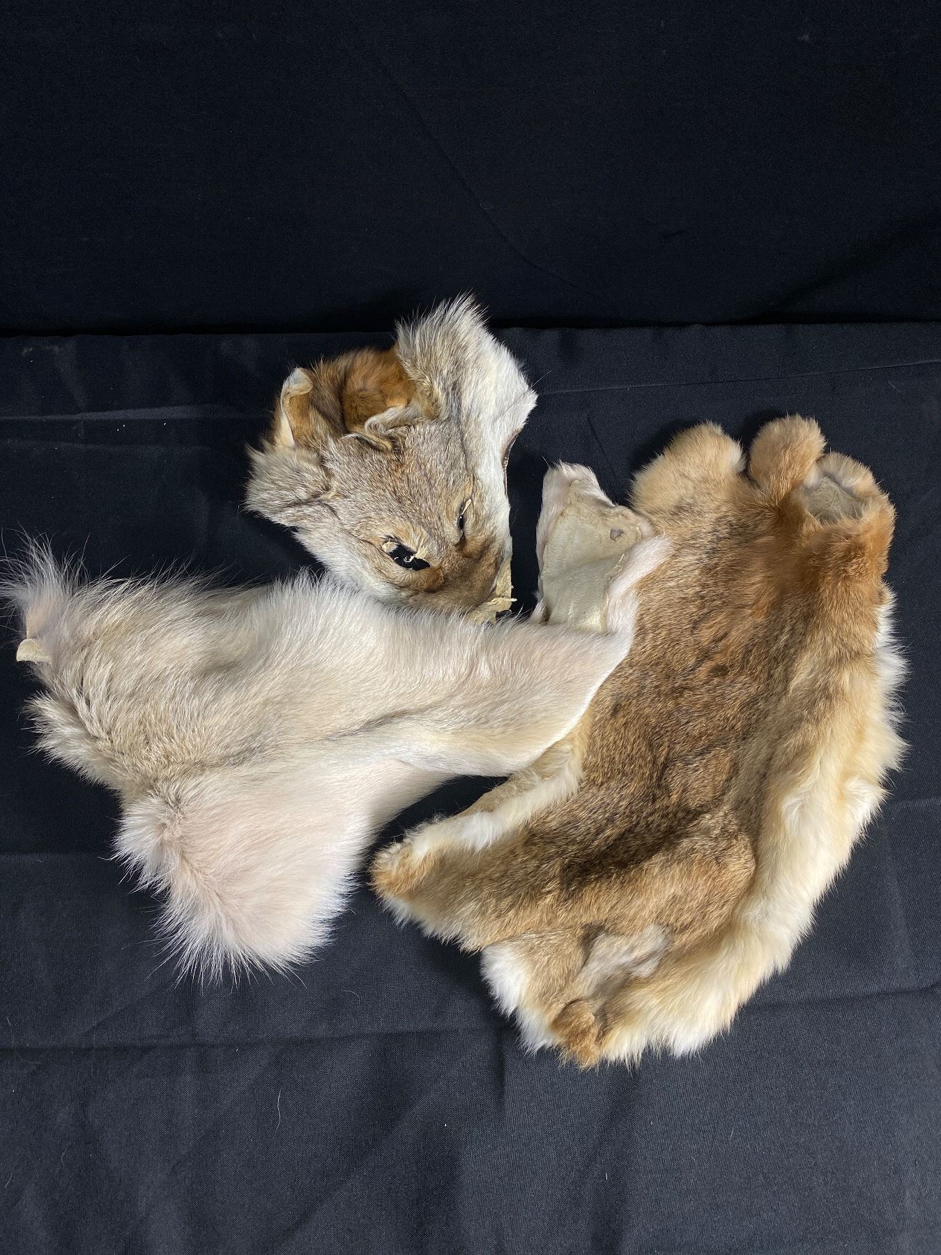 Various Fur Pelts