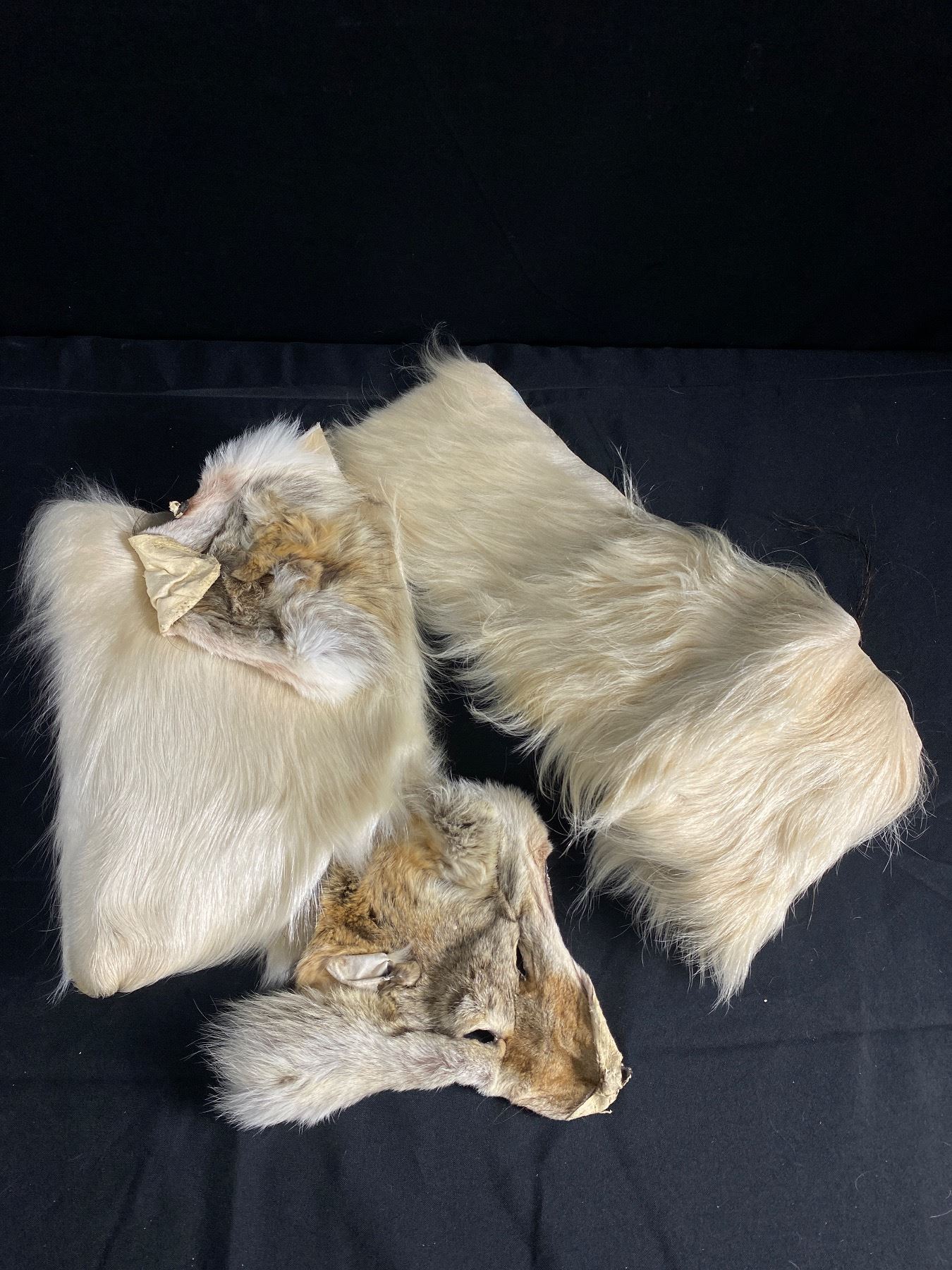 Various Fur Pelts