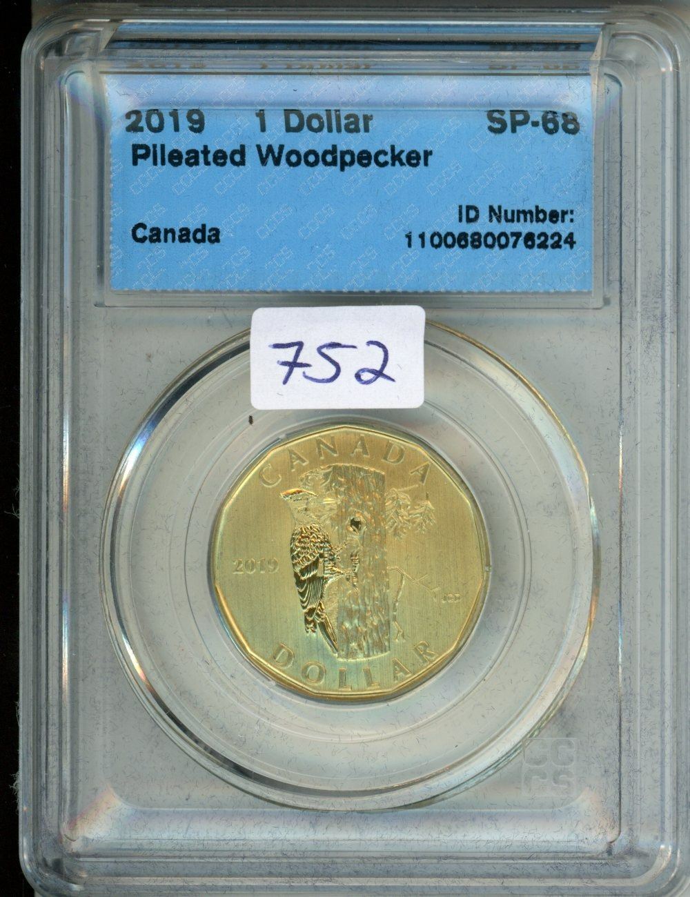 CCCS Graded 2019 Canada $1 Coin - Pileated Woodpecker SP-68