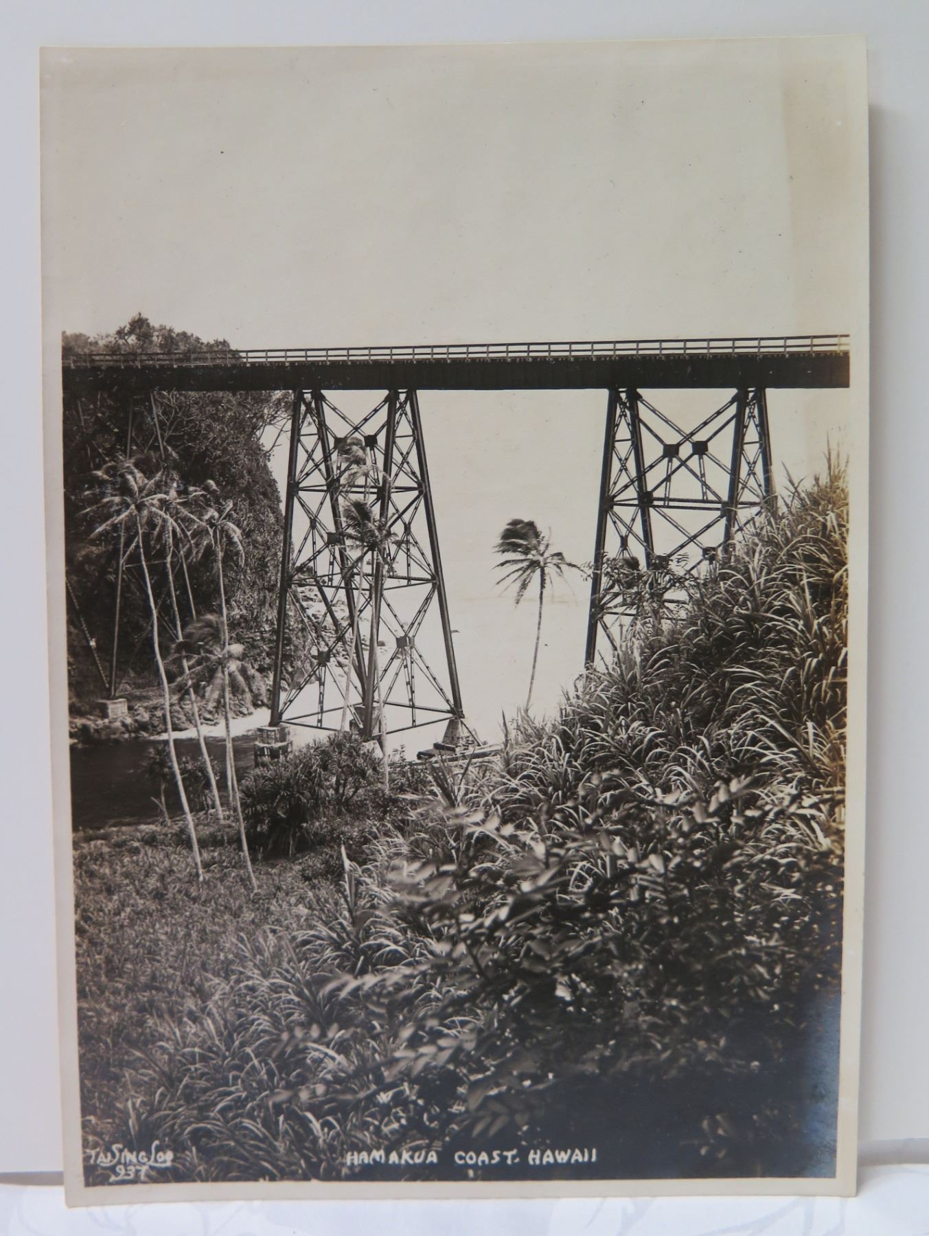 Original Photograph Early 1900's Hamakua Coast Hawaii by Tai Sing Loo 4 ...