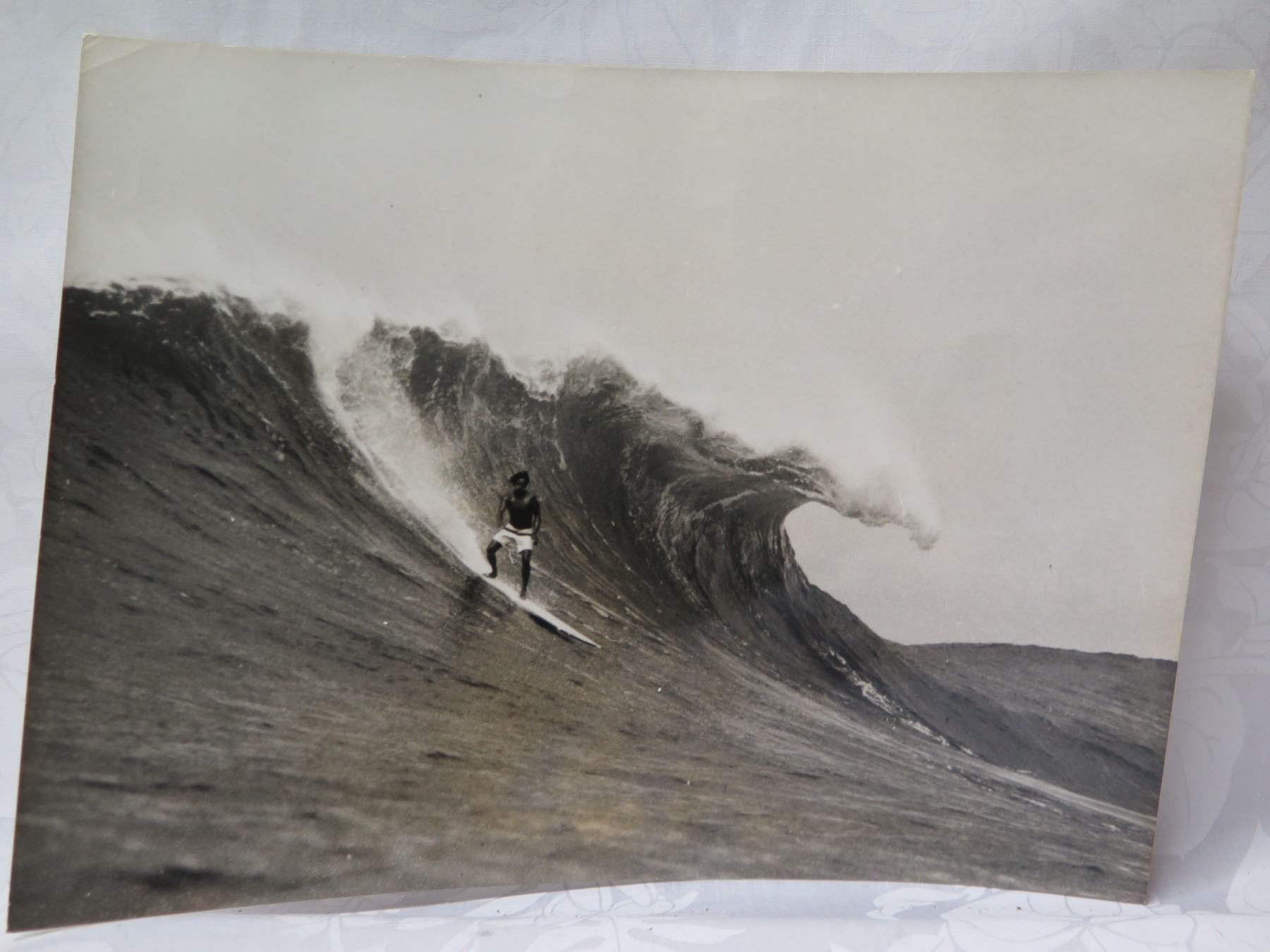 Surfing Spectacular Photograph at Sunset Beach by Camera Press London ...