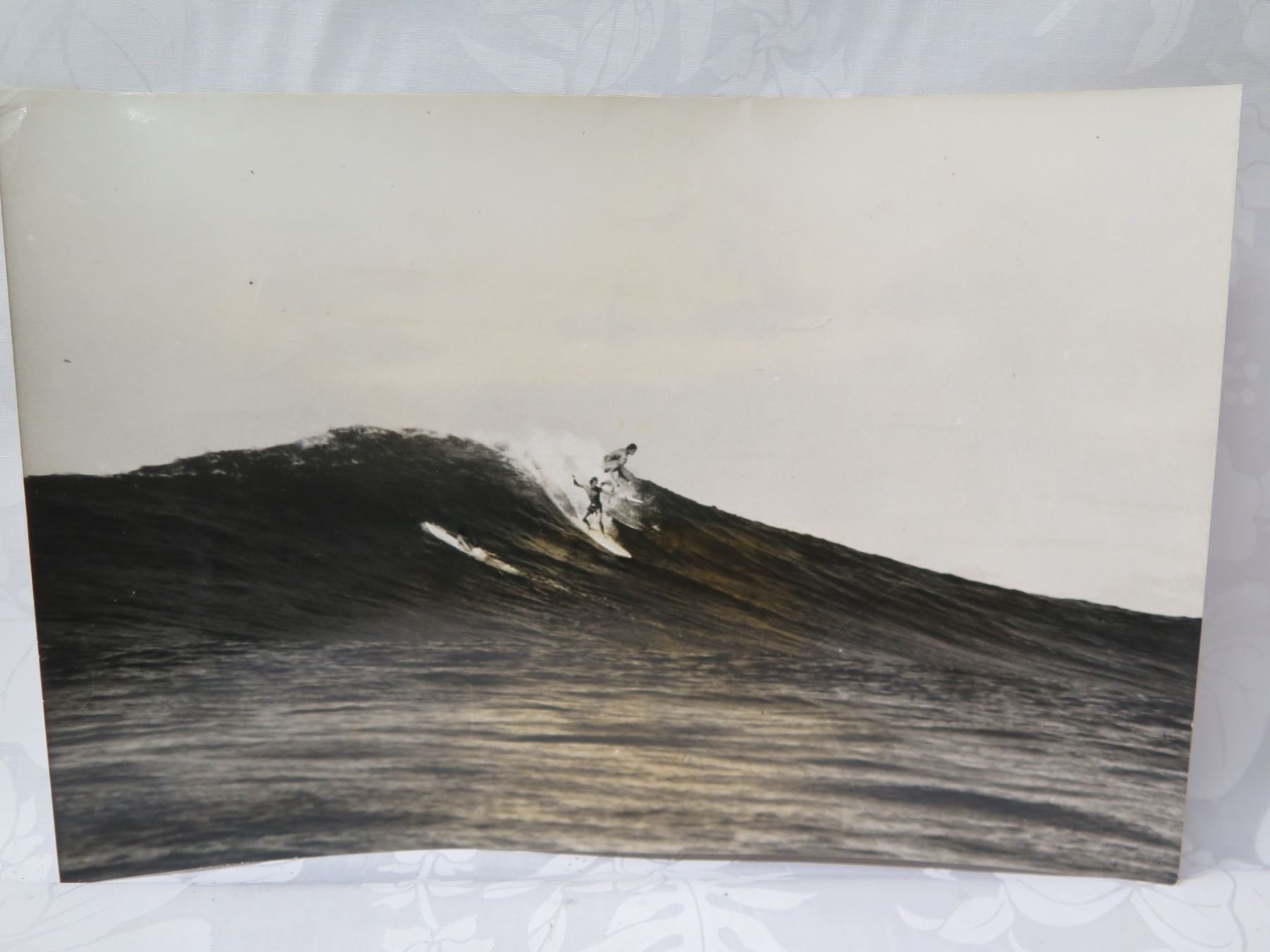 Surfing Spectacular Photograph at Sunset Beach by Camera Press London ...