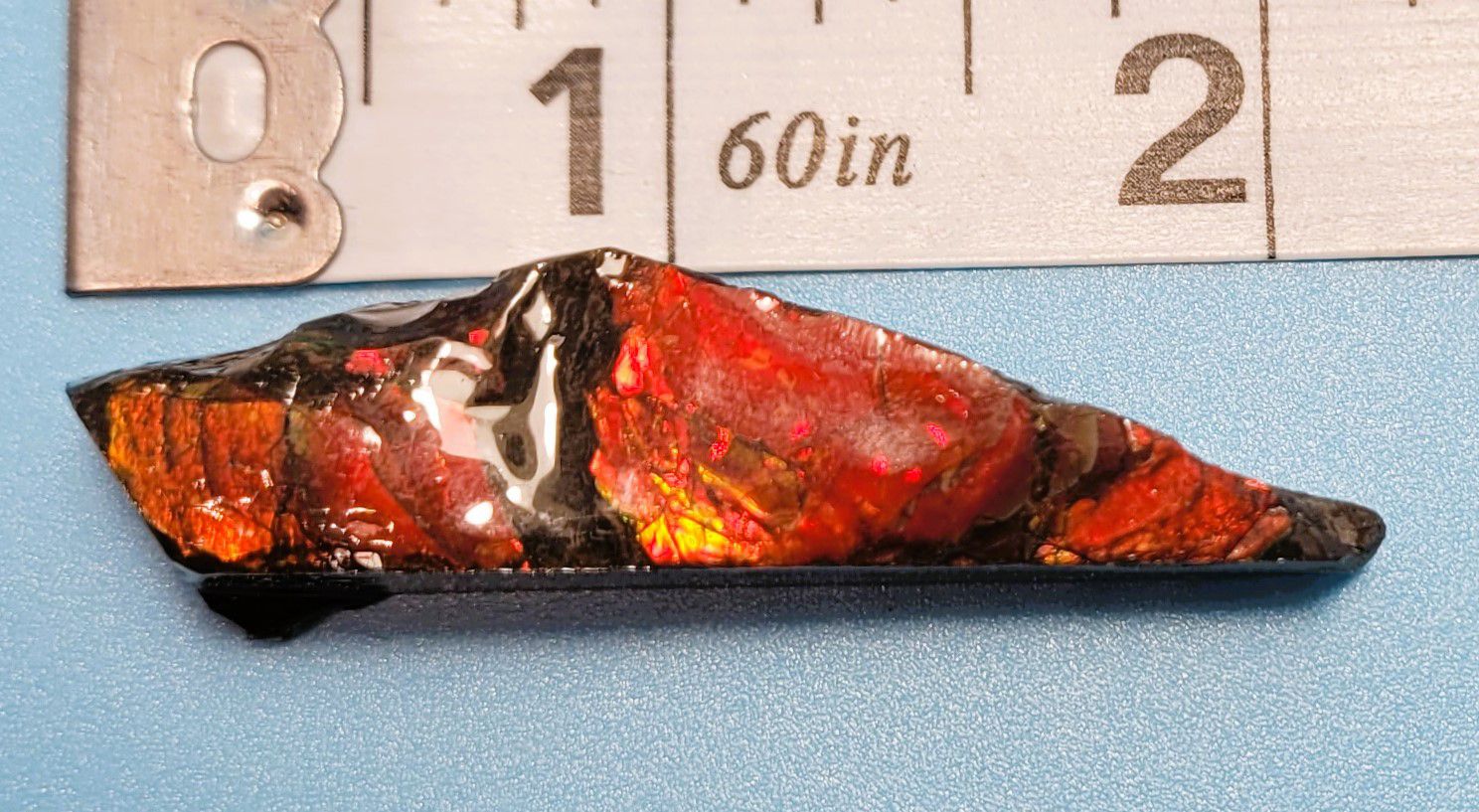 RED FIRE NATURAL AMMOLITE SPECIMEN