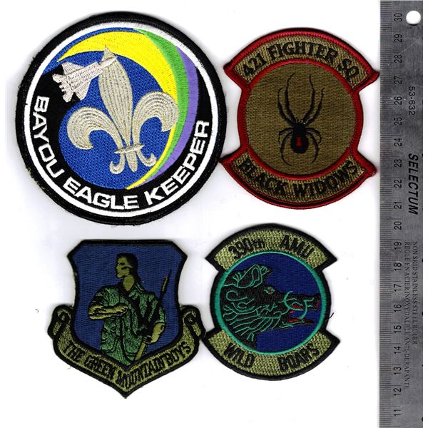 421st Fighter Squadron , 22nd Fighter Sq Bayou Eagle Keeper, Green ...