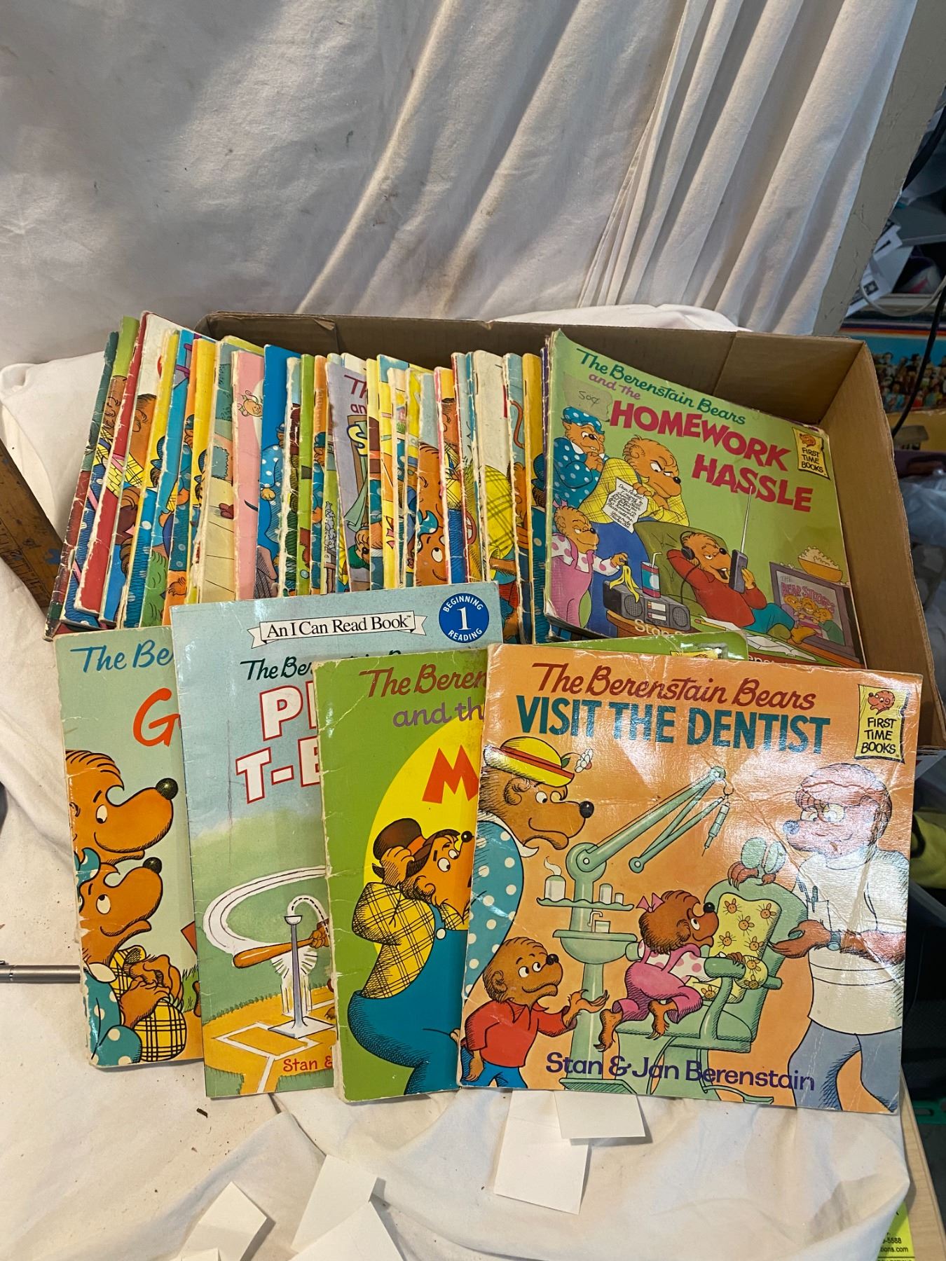 Berenstain bears books