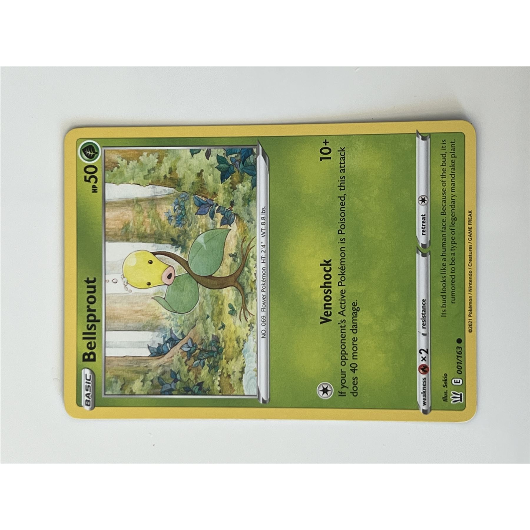 Pokemon Bellsprout Mint Plus