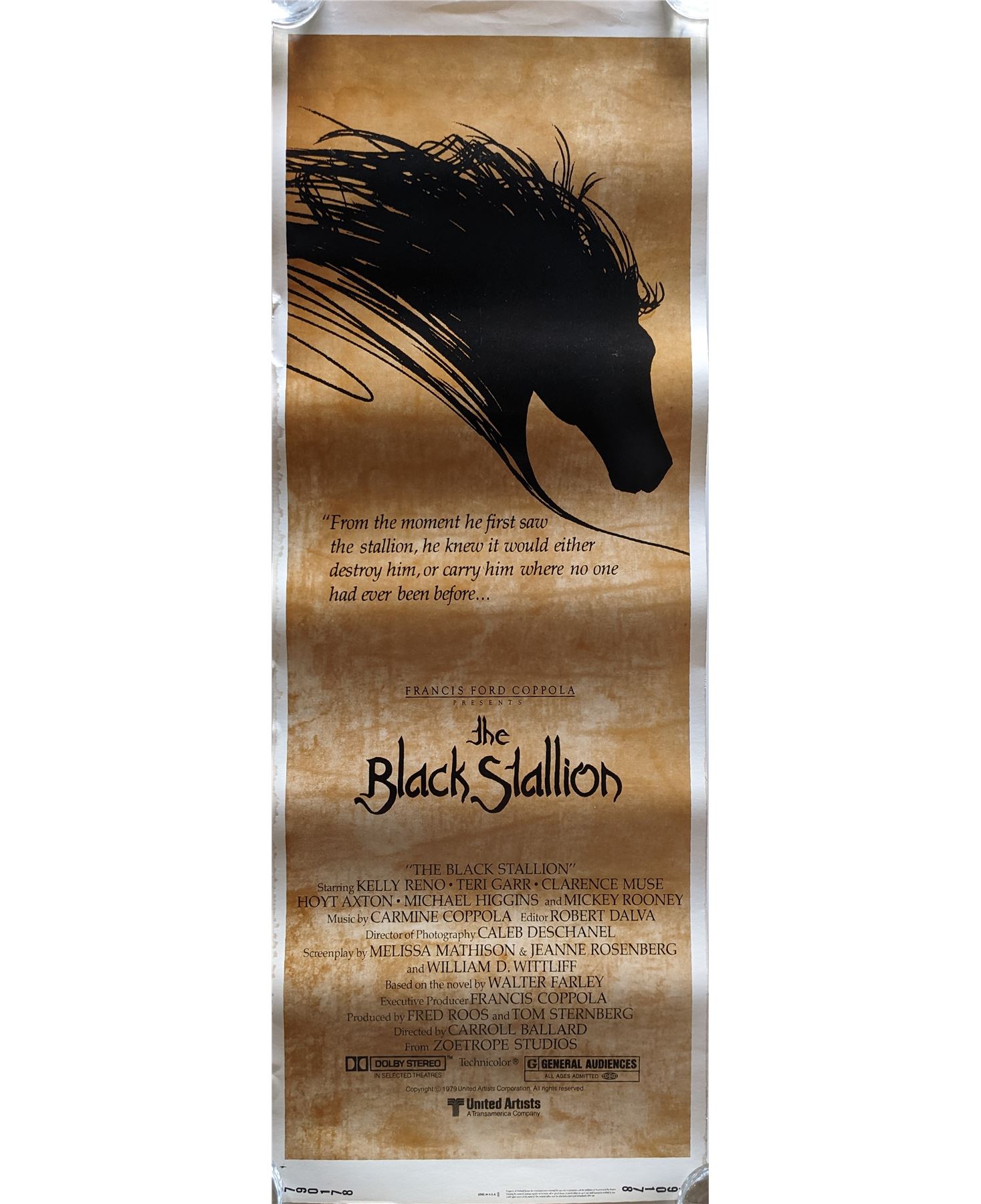 The Black Stallion insert card