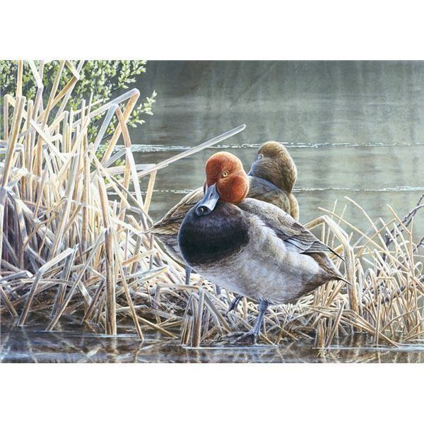 Pierre Leduc canards édition limitée - Limited edition ducks Redheads ...