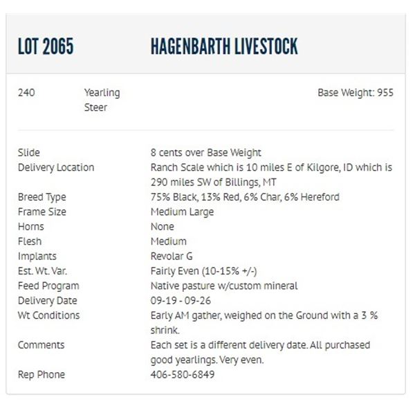 Hagenbarth Livestock - 240 Steers - Base Weight: 955