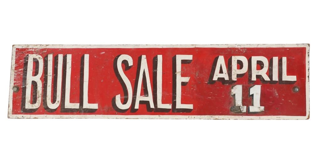 Large Late 1900s Bull Sale Advertising Sign