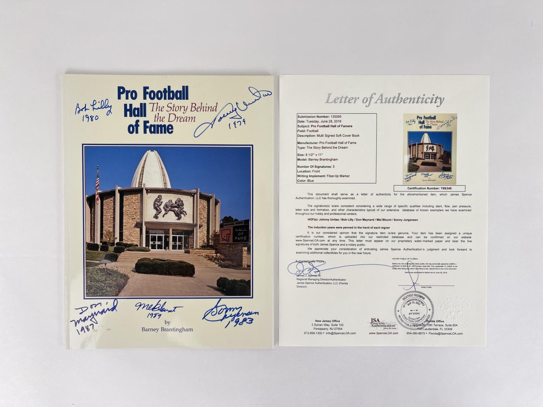 Football Hall of Fame Signed Program.