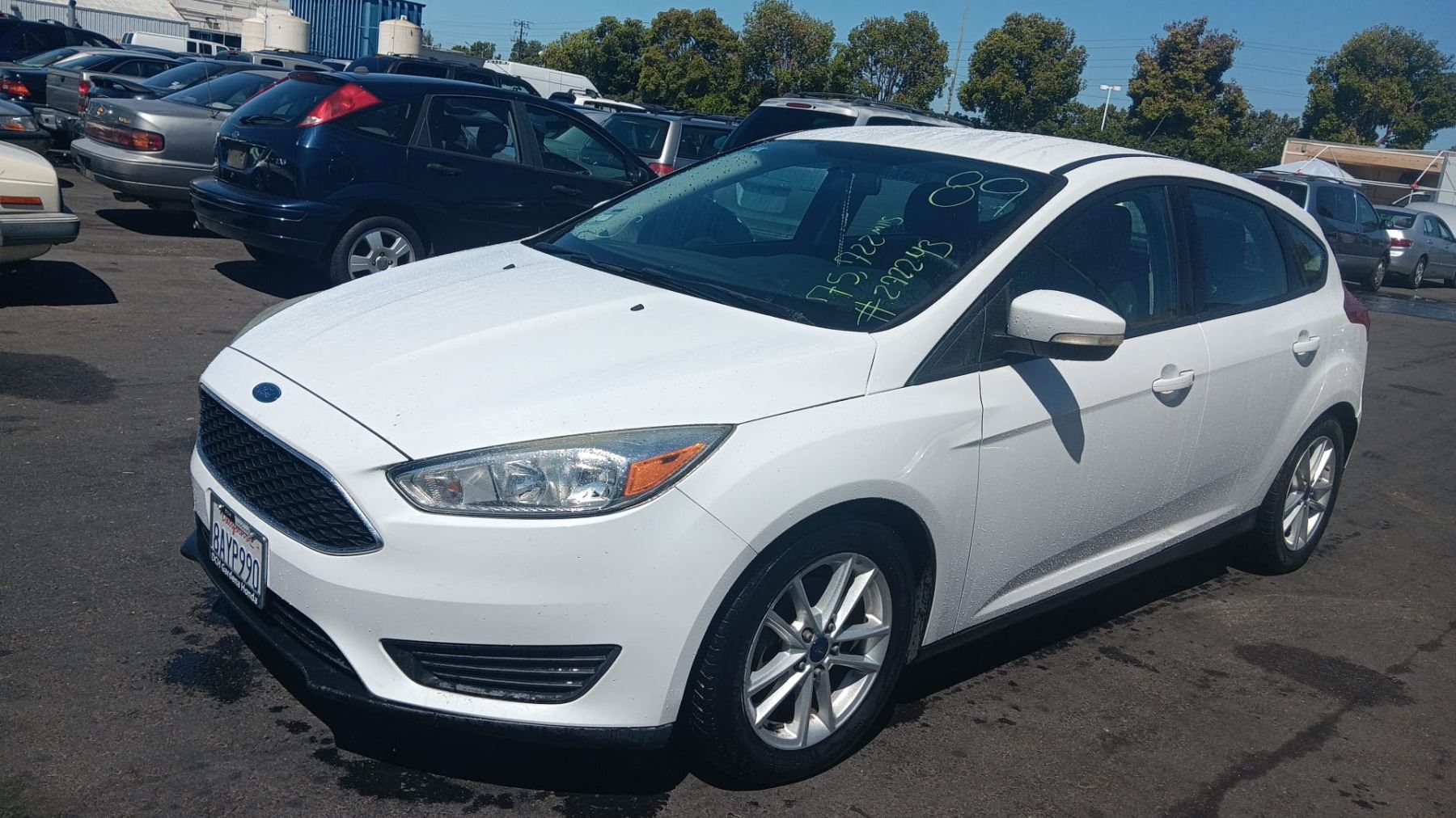 2016 Ford Focus SE