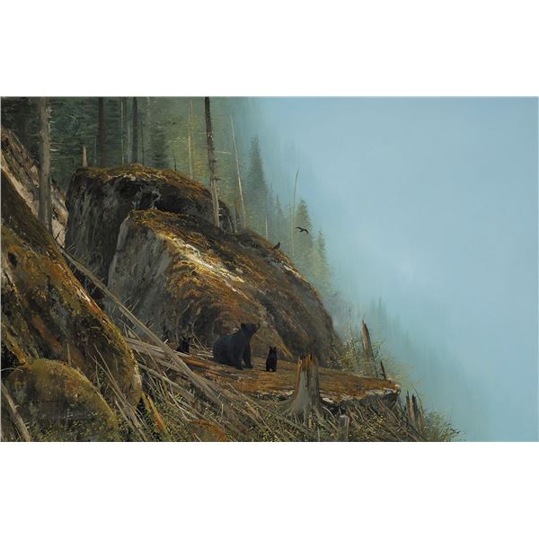 Michael Coleman-Mother Bear and Cubs