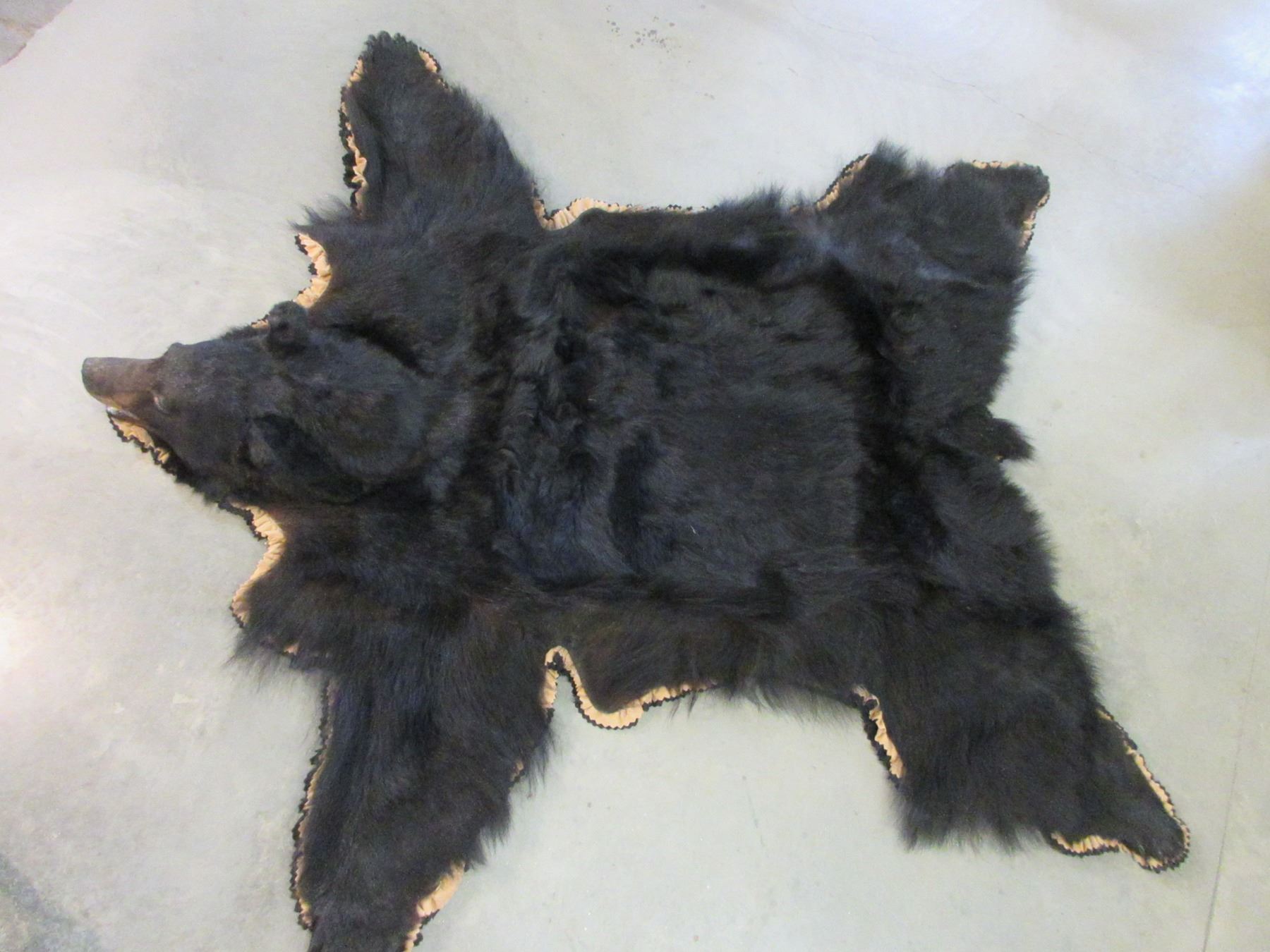 Large Double Matted Black Bear Rug - Great Hair- All Claws Are There ...