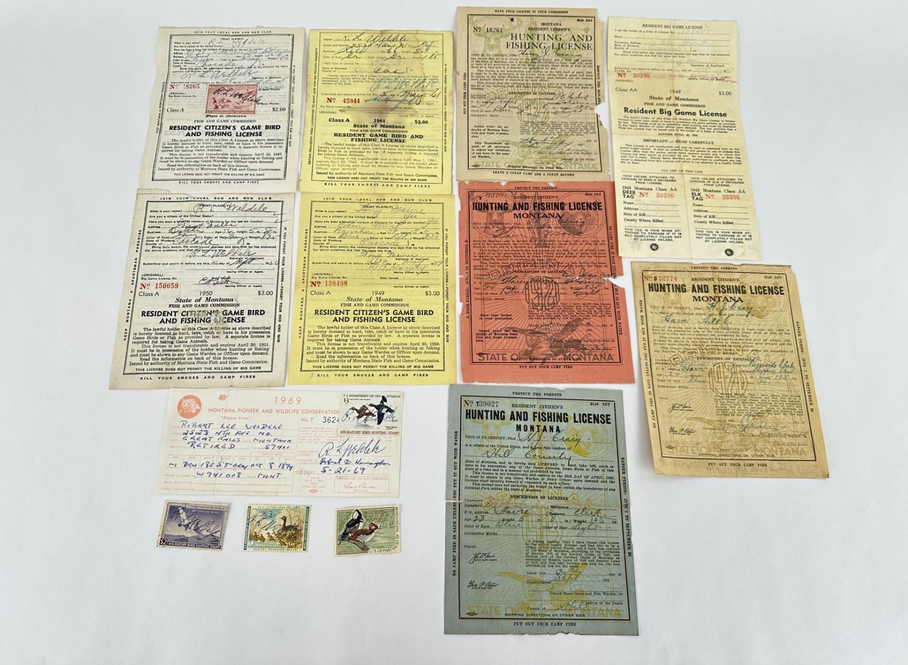 Collection of Montana Hunting Fishing Licenses