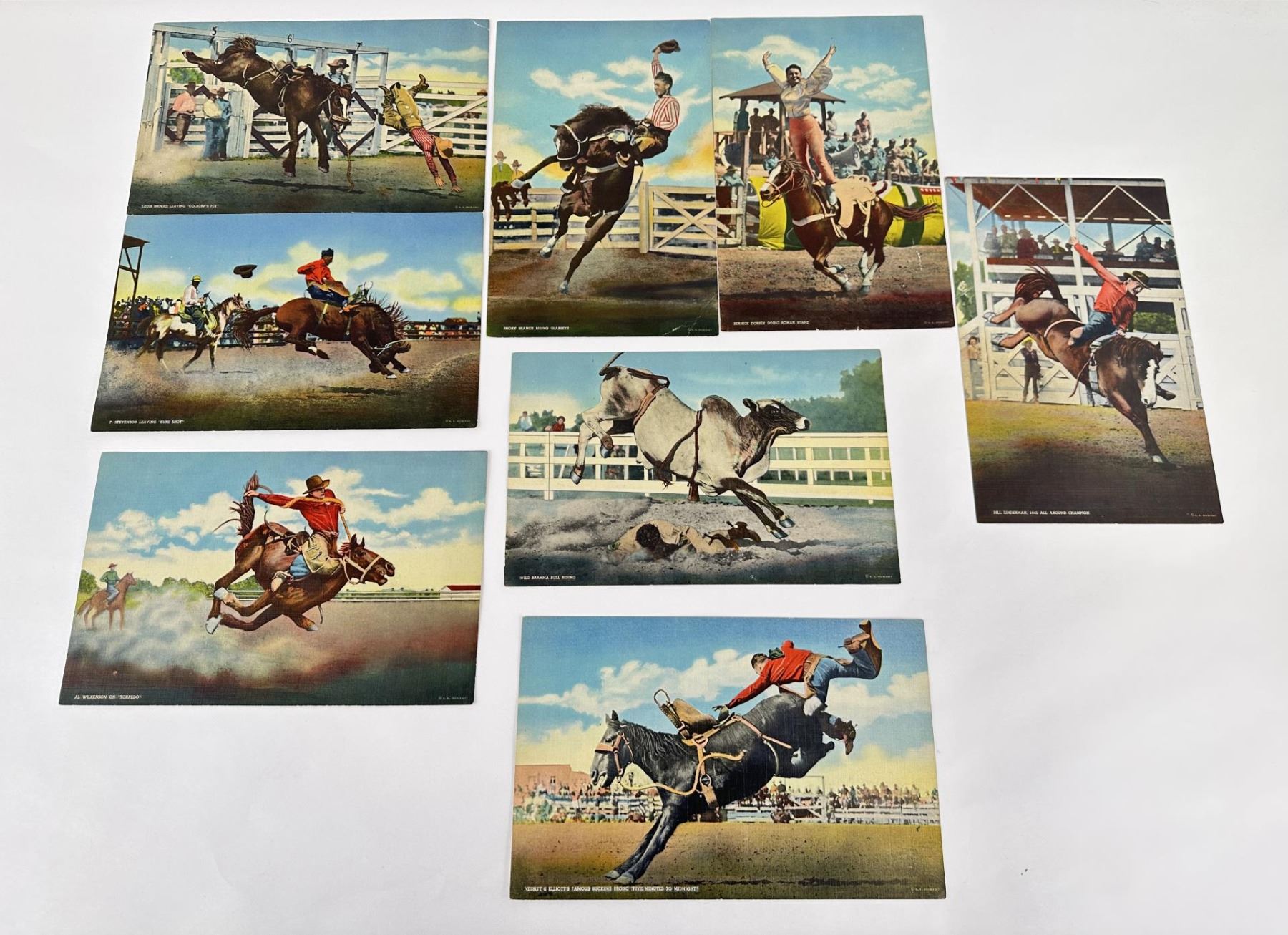Large Antique Color Rodeo Postcards