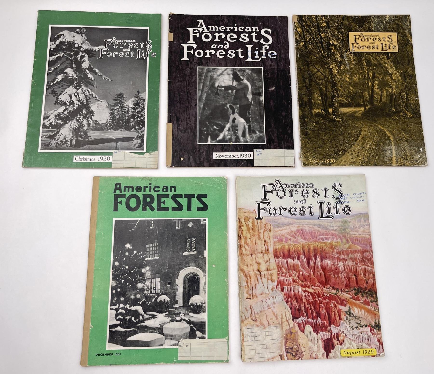 Forests and Forest Life Magazine