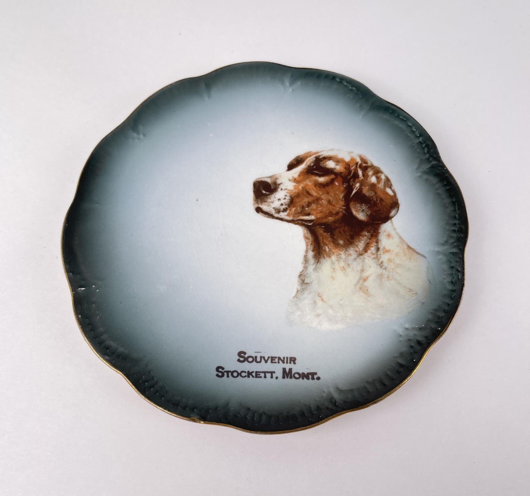 Stockett Montana Plate