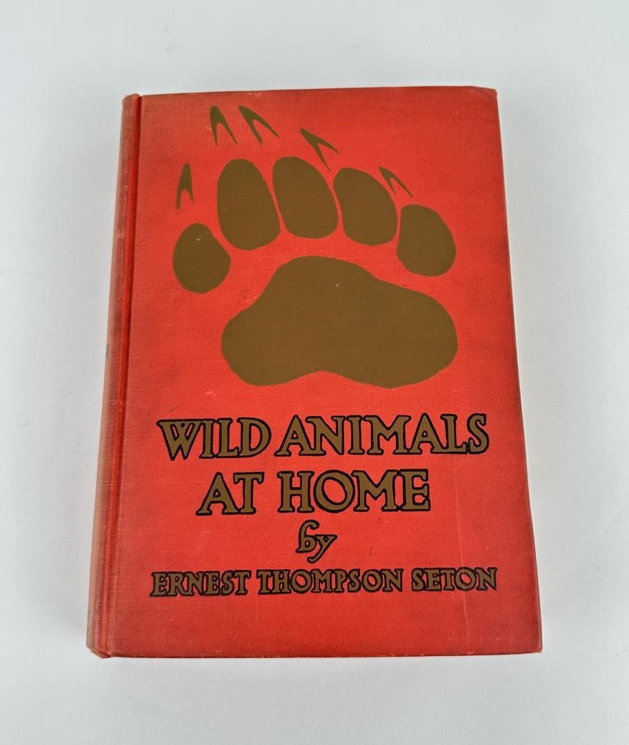 Wild Animals at Home