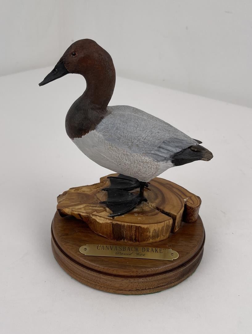 David Coe Canvasback Drake Wood Carving