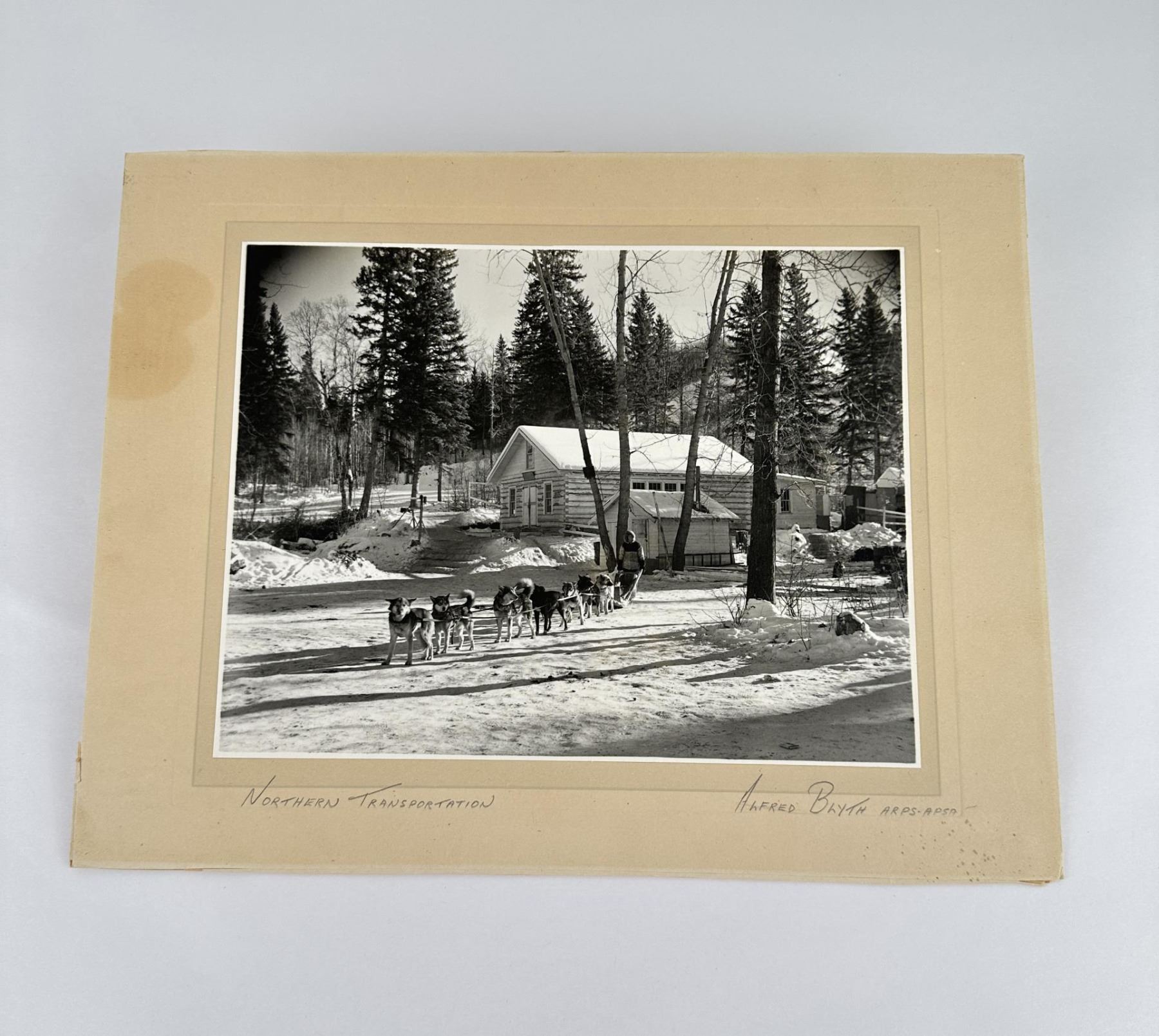 Alfred Blyth Dog Sled Team Photo Alaska