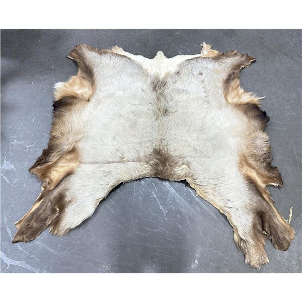 Montana Taxidermy Tanned Leather Elk Hide