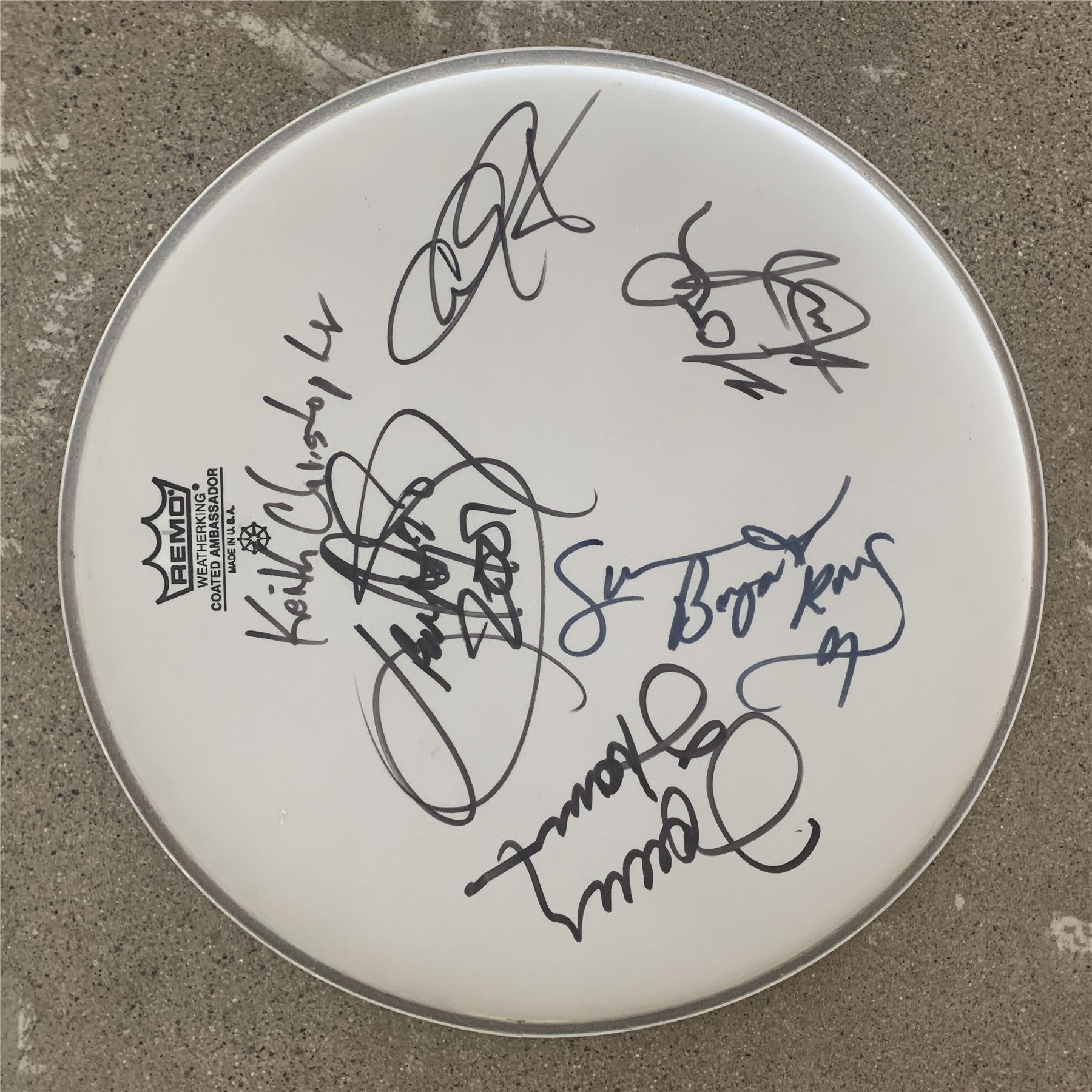 Kenny Wayne Shepherd Band signed drum head