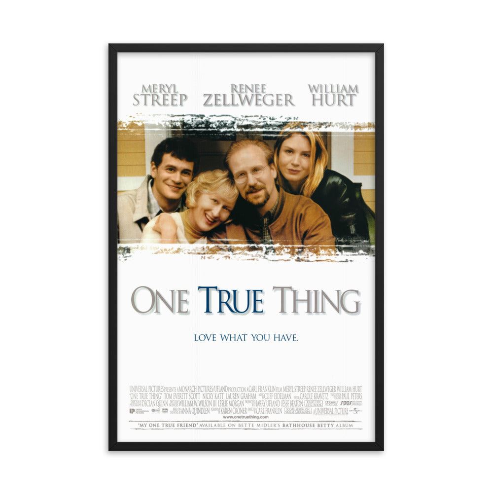 One True Thing 1998 REPRINT movie poster REPRINT