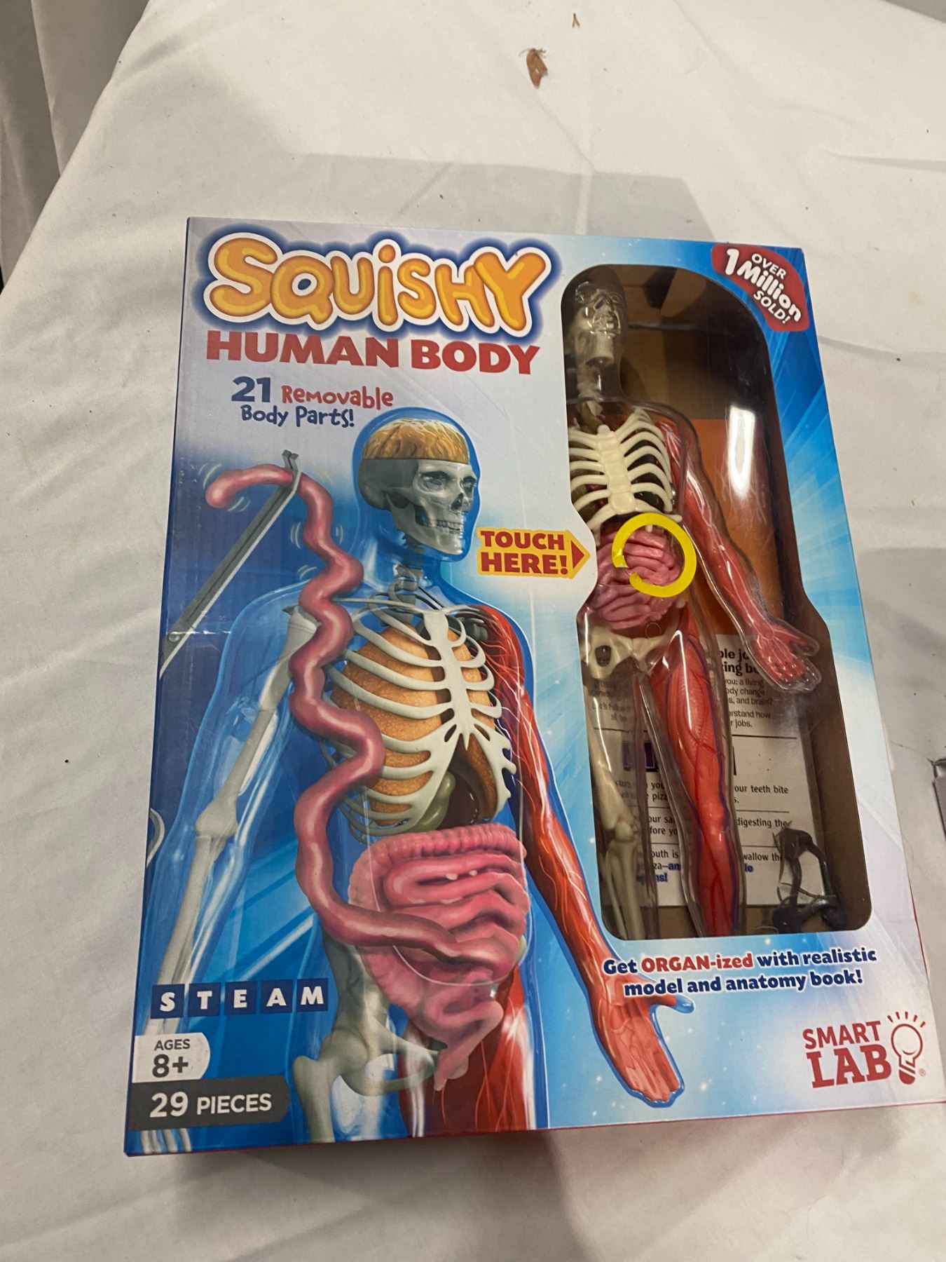 Squish human body