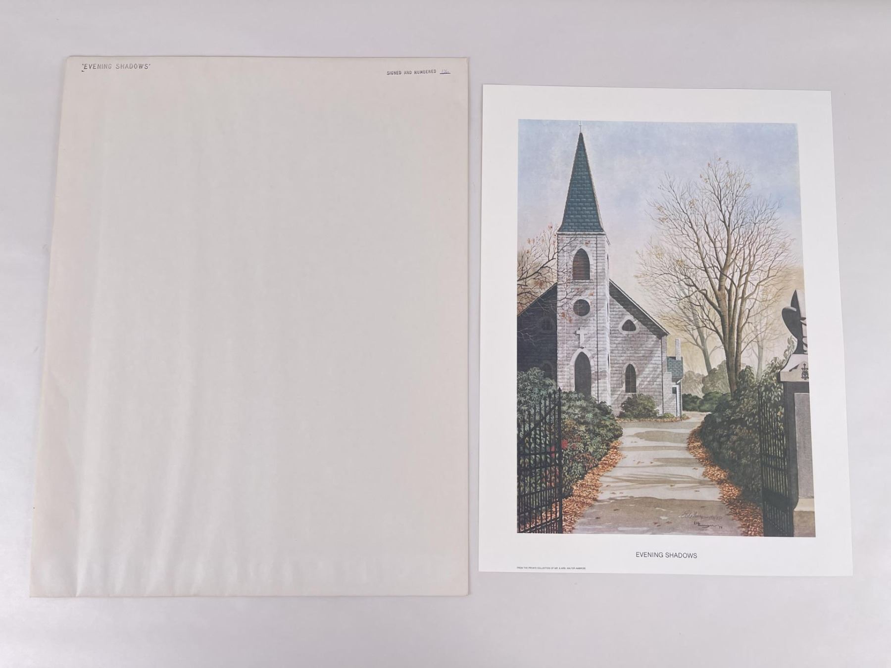 Evening Shadows Print