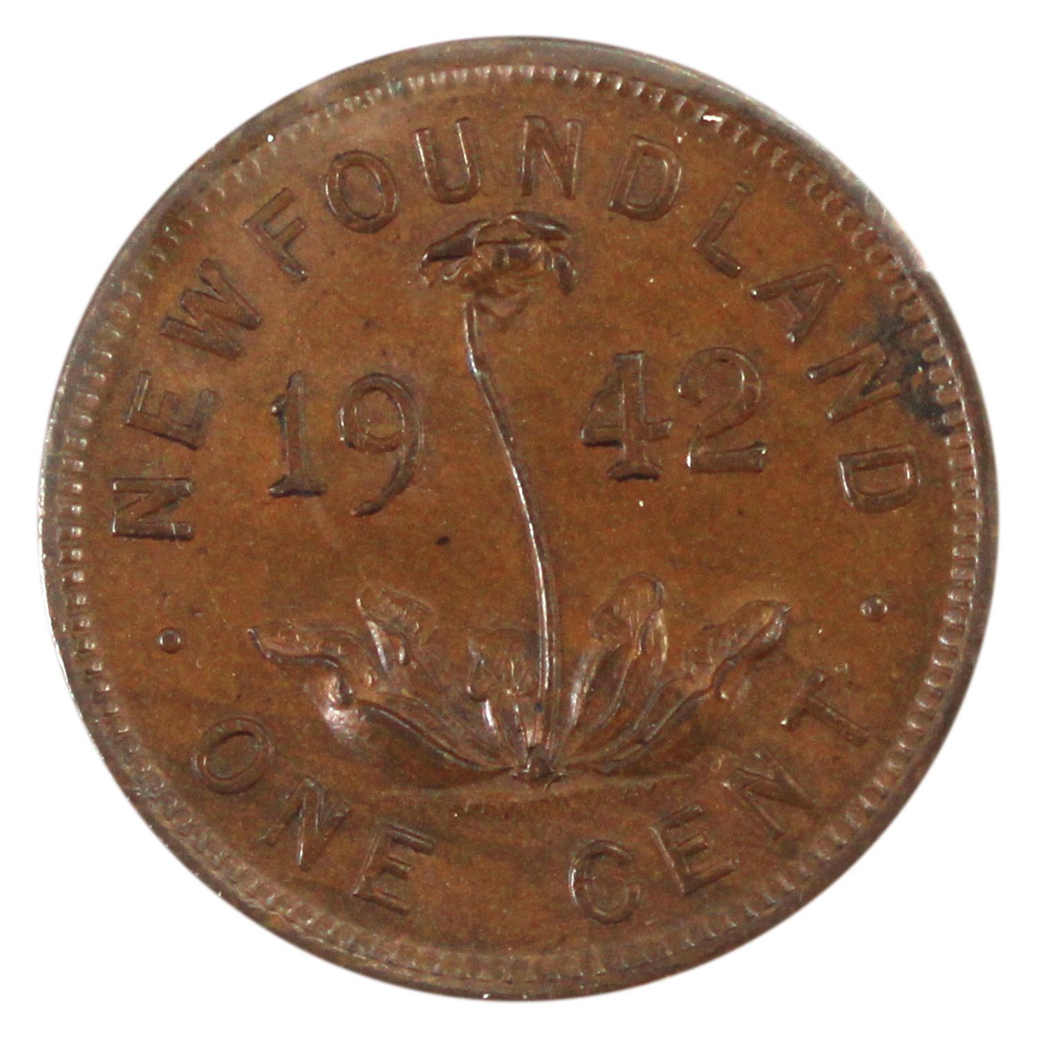 Newfoundland 1-cent UNC+ (Corrosion)