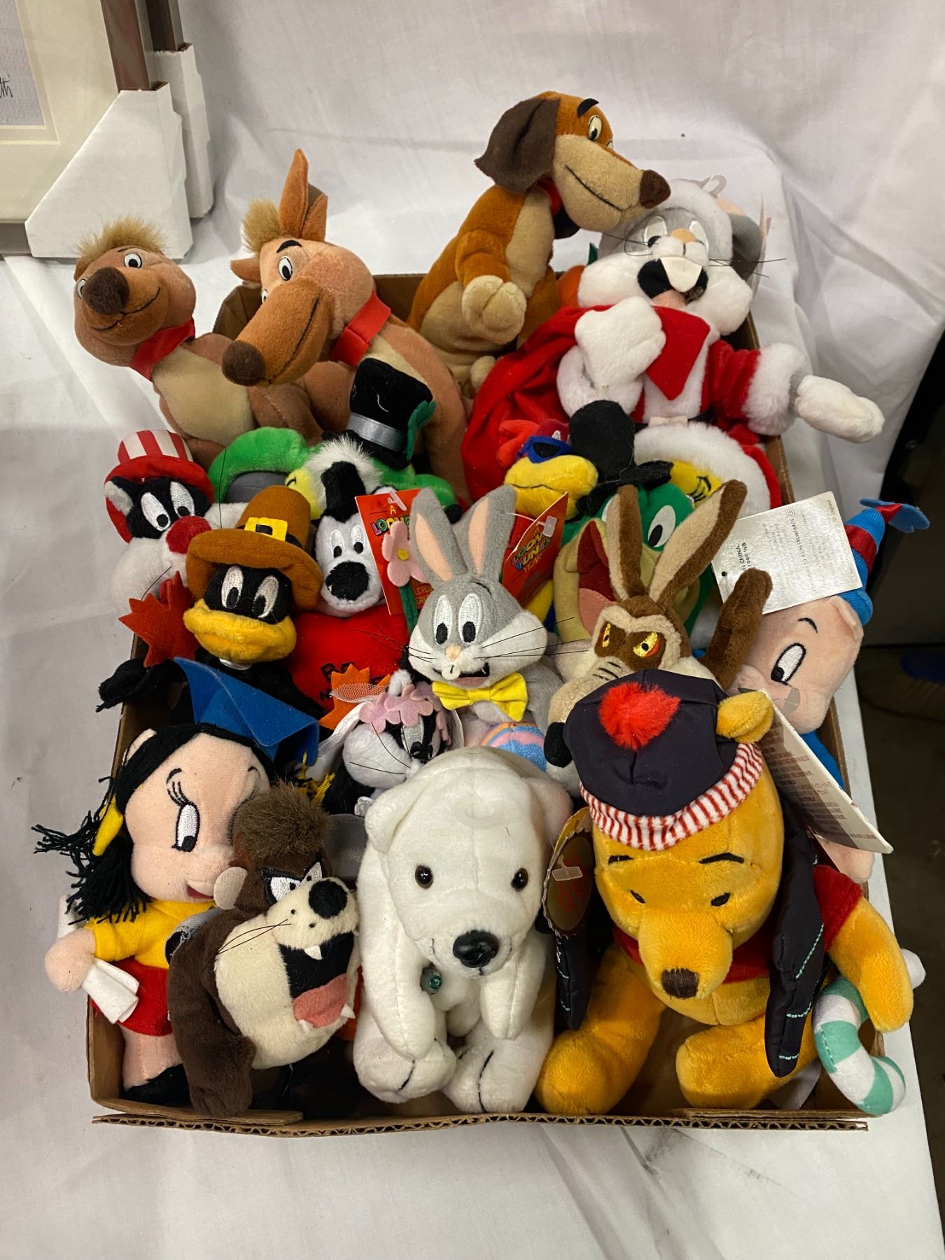 Loonie toons and other collectible characters