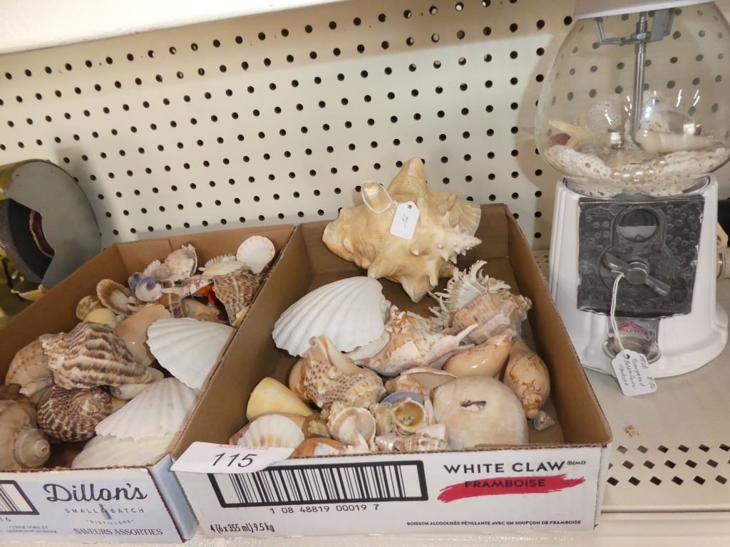 sea shells, repurposed bubble gum machine