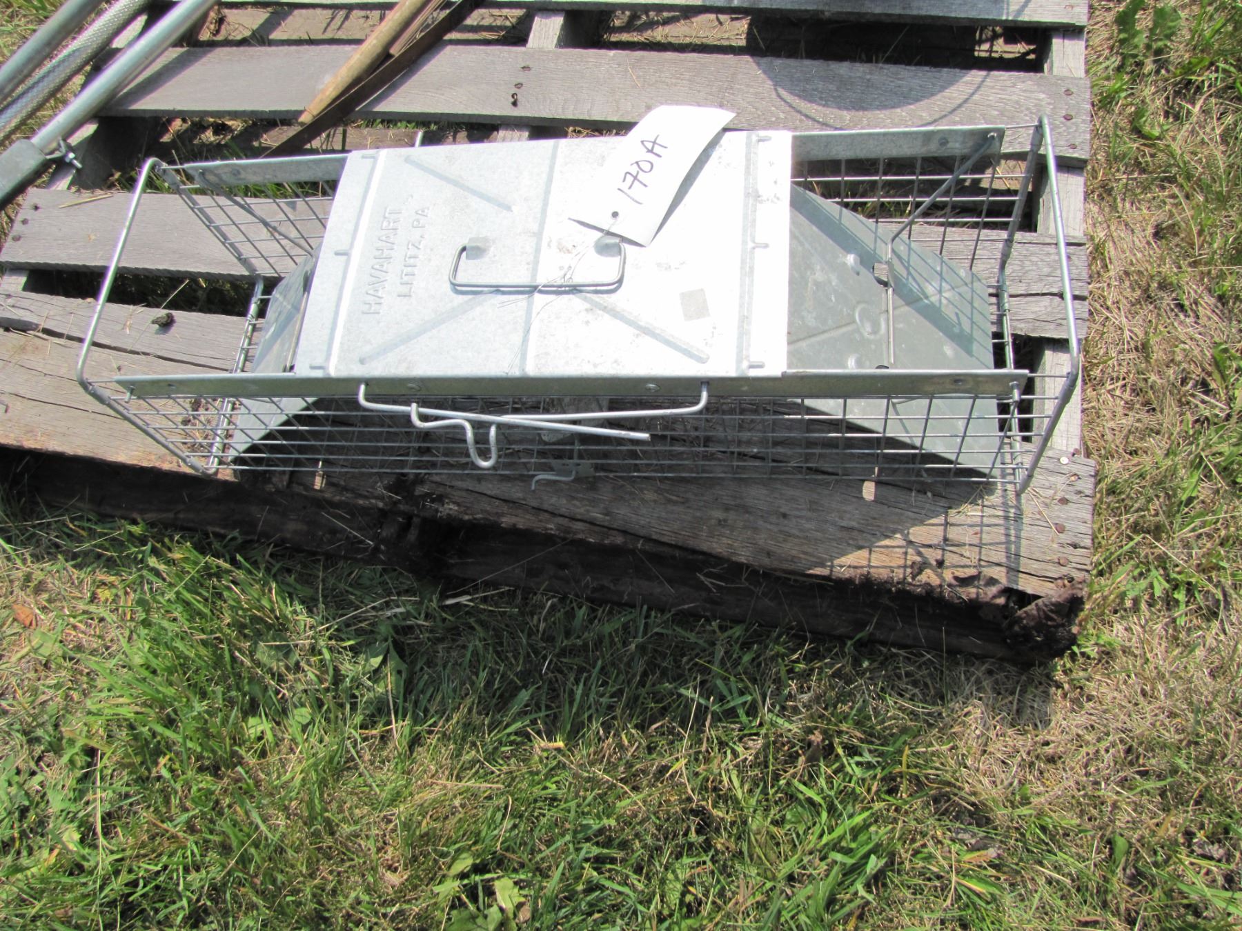 Live animal trap