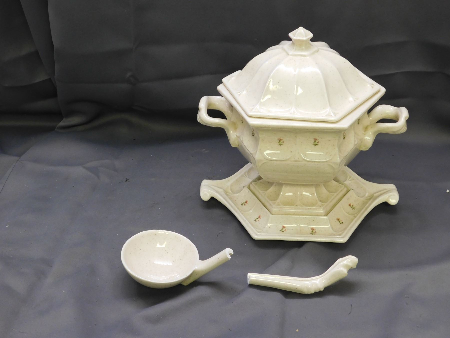 Large Ceramic Soup Tureen with Lid, Ladle *broken* and Tray