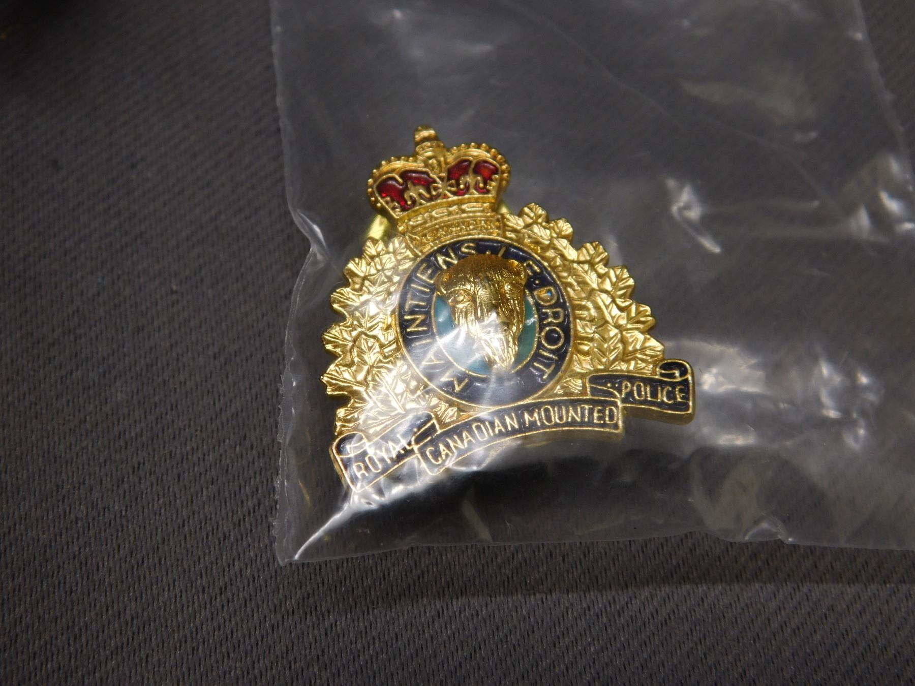 WW2 Era British Canadian Canteen with Carrier Green Canvas and Modern ...